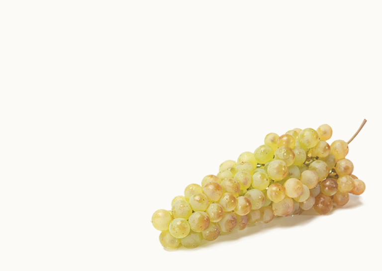 Blaise Duboux, domaine viticole bio, Boutique en ligne