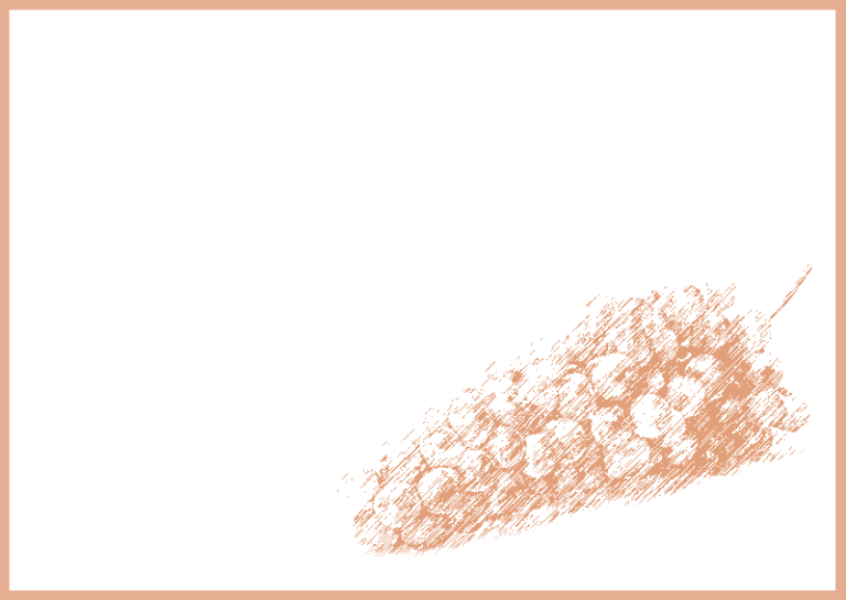 Blaise Duboux, Vineyard in organic farming, Shop online