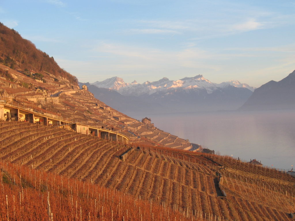 Blaise Duboux, domaine viticole bio, Boutique en ligne